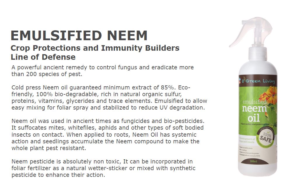 OGL Emulsified Neem Oil 500ml – OGL D2D